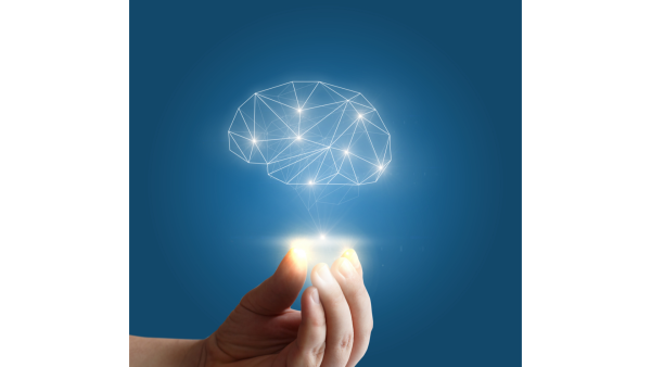 The Five-Hour Rule - Corsini Consulting Group, LLC
